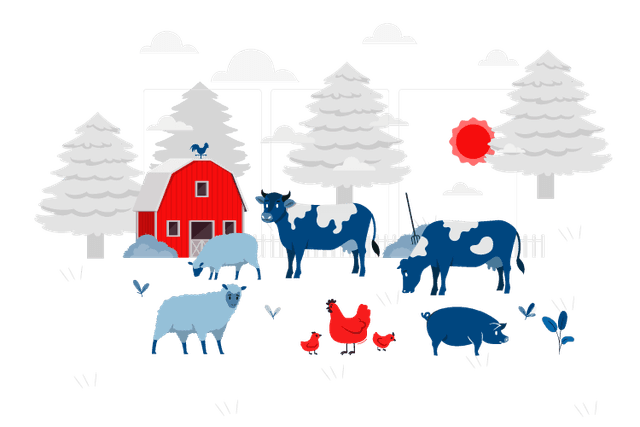 Cattle-insurance | Himalayan Everest Insurance